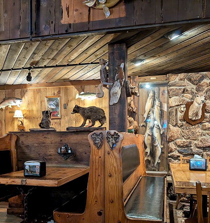 Taxidermy meets comfort food in Bill's dining room, where woodland creatures keep watchful eyes on your pizza consumption. The ultimate "dinner and a show."