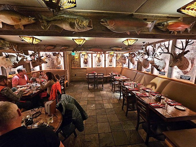 Dining under the watchful gaze of Idaho's wildlife – where every meal comes with a side of natural history and conversation.