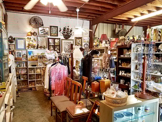 Step inside and enter the time-travel portal where every shelf tells a story and every corner hides a potential heirloom.