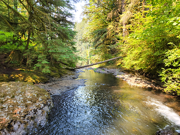 Crystal clear waters meander through sun-dappled forests, nature's version of a lazy river without the inflatable tubes or overpriced snack bar.