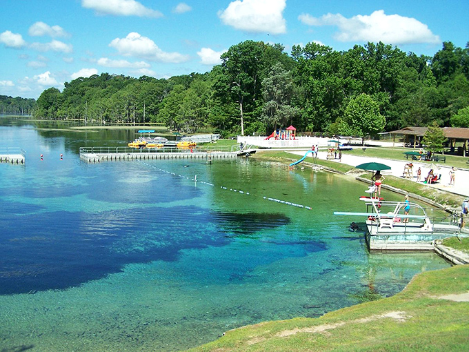 Summer in Florida distilled to its essence &ndash; families enjoying the cool spring waters while surrounded by lush greenery.