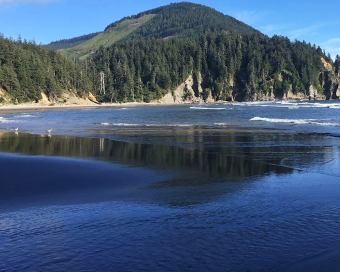 Neahkahnie Mountain stands sentinel over Short Sand Beach, where forest meets ocean in a quintessentially Oregon embrace.