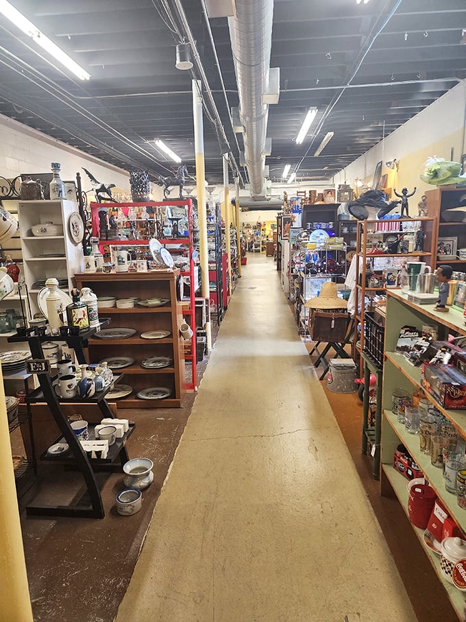 Endless aisles of possibility stretch before you, where yesterday's ordinary becomes today's extraordinary find. The treasure hunt begins here.