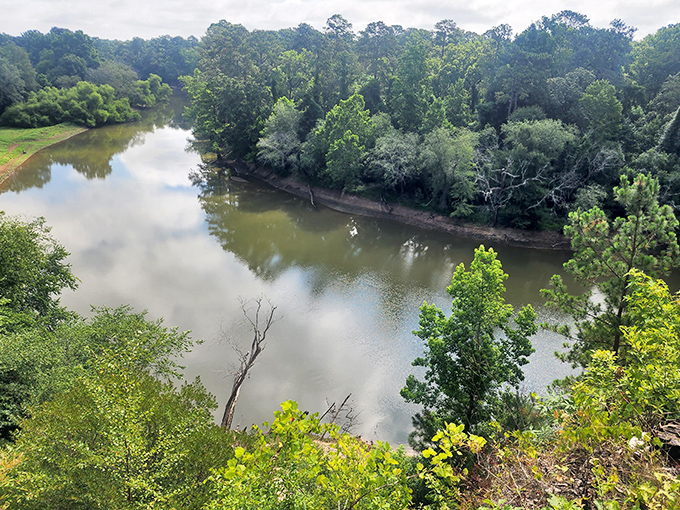 The Neuse River lazily winds through the park, offering breathtaking views from above and peaceful paddling opportunities from below.