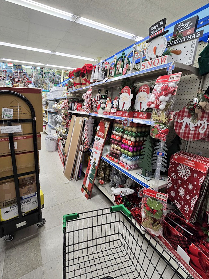 Christmas explodes in aisle three where Santa figurines and festive decor transform ordinary shelves into a winter wonderland of affordable holiday cheer.