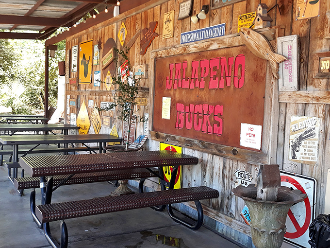 These picnic tables have witnessed more food comas than a Thanksgiving dinner at grandma's house.