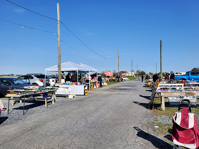 The flea market stretches into the horizon like a bargain hunter's yellow brick road, with treasures waiting at every table.