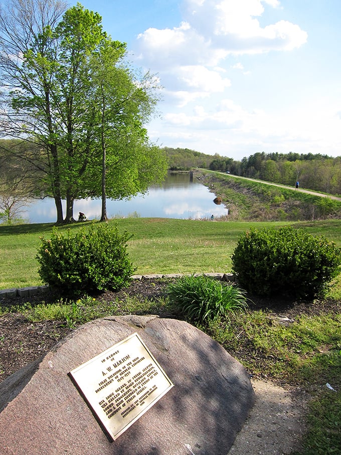 Spring breathes new life into the park's landscape, creating perfect spots for quiet contemplation along Hargus Lake's peaceful shores.