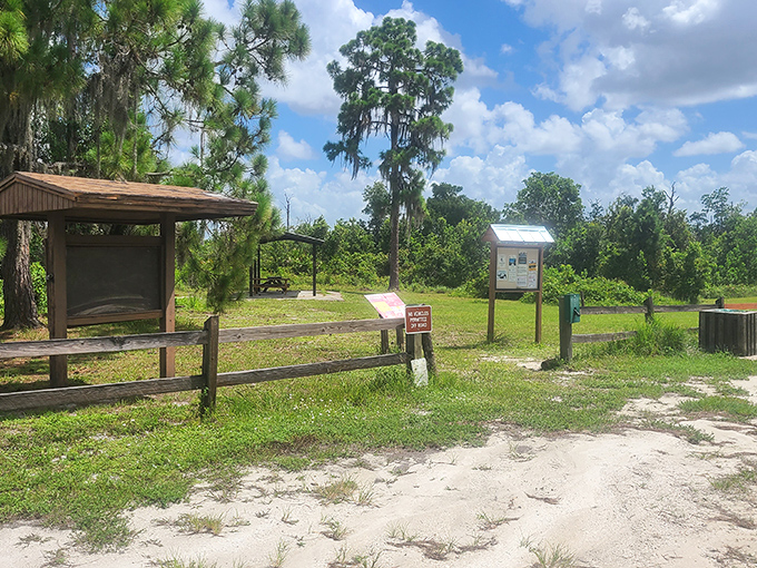 The humble park entrance &ndash; proof that the most magical Florida experiences don't require animatronic pirates or $15 ice cream cones.