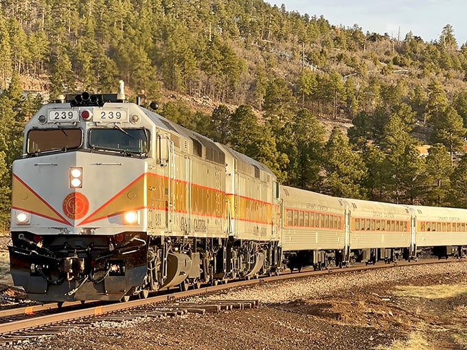 Sunlight glints off the iconic streamlined diesel locomotive #239 as it winds through Arizona's pine-covered hills. A moving postcard of American engineering.