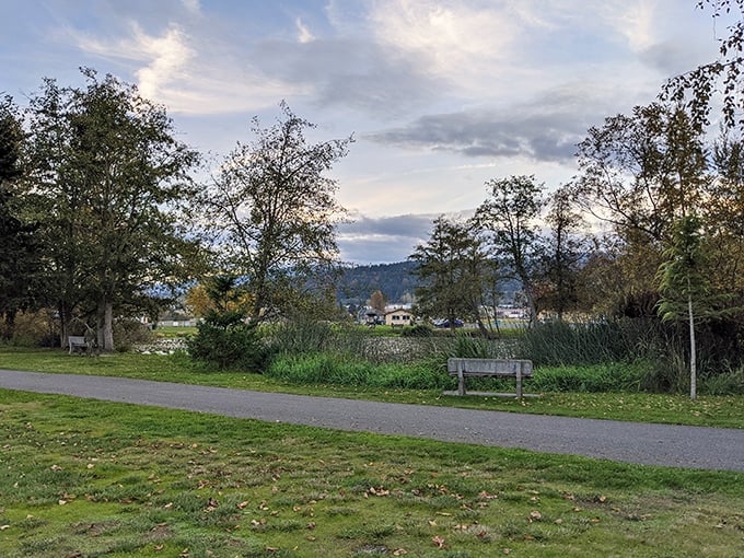 A bench with a view that whispers, "Sit down, take a breath, and remember what your shoulders feel like without tension."