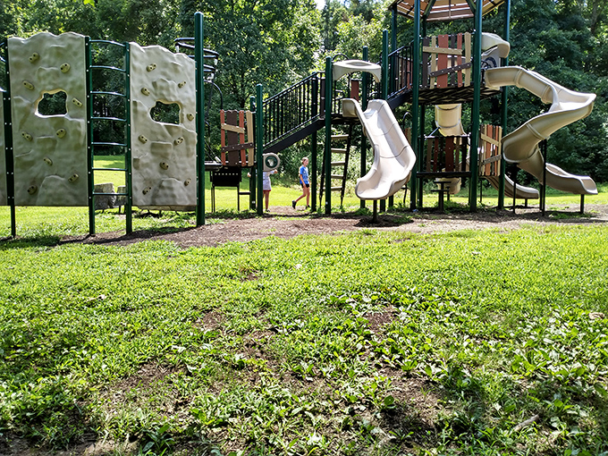 Childhood joy meets forest playground. Where kids burn energy while parents secretly wish those slides were adult-sized too.