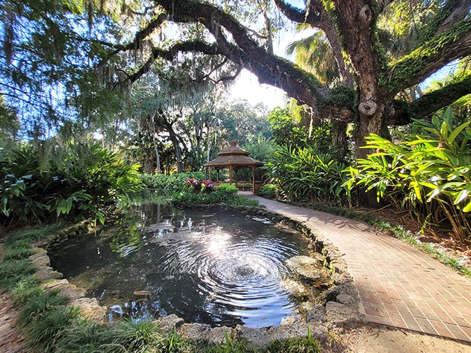 A ripple in time &ndash; this serene pond reflects centuries of Florida history beneath ancient oak sentinels.