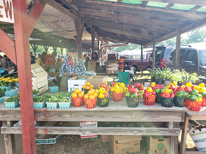 Nature's color palette on full display. These vibrant peppers and fresh produce could make even the most committed takeout enthusiast consider cooking from scratch.