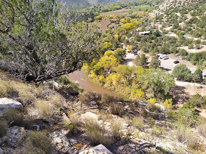 Fall's golden cottonwoods create a stunning contrast against the earthy landscape, nature's way of showing off its seasonal wardrobe change.