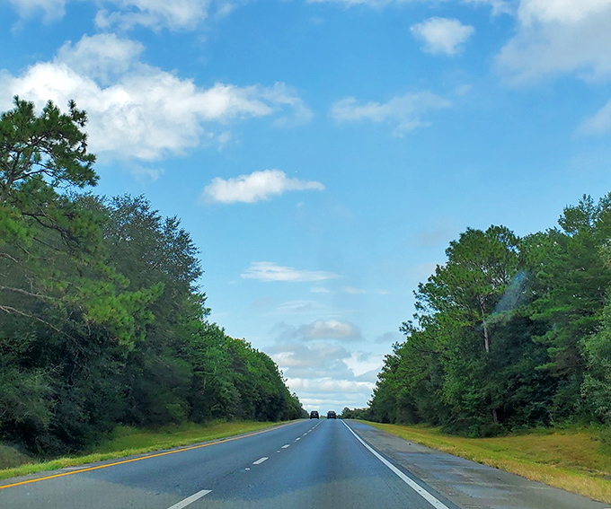 Florida's version of an open road – pine trees standing guard on both sides like nature's welcoming committee to Crestview.