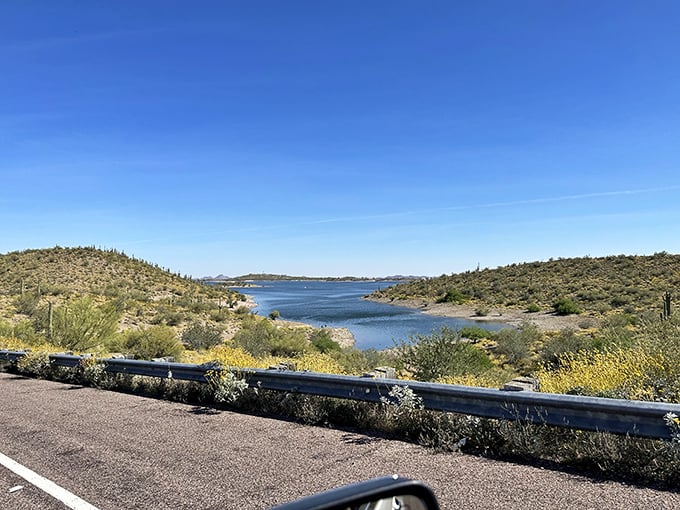 The drive alone is worth the trip! This roadside vista offers your first breathtaking glimpse of Lake Pleasant's expansive blue waters.
