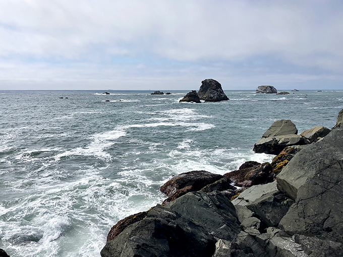 These ancient sentinels of the sea have been perfecting their brooding poses for millennia. The Pacific's version of method actors.