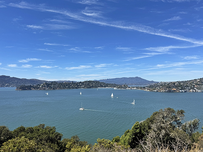 Mother Nature showing off her best work—sailboats dancing across the bay while Marin's hills provide the perfect backdrop for your "I'm definitely coming back here" moment.