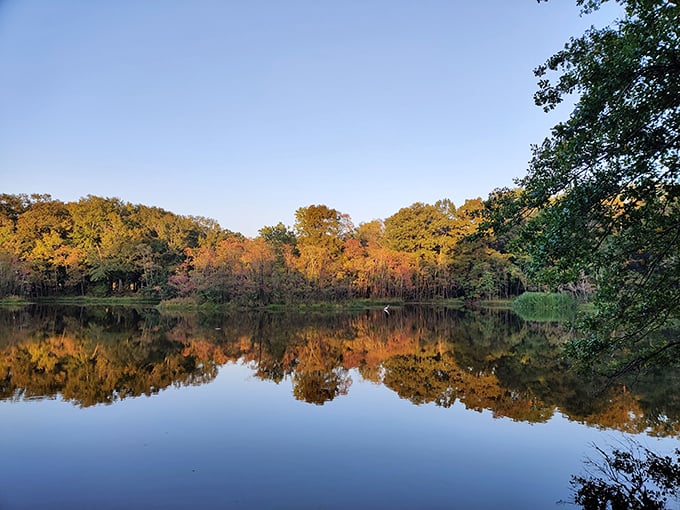 Fall paints Mayes Lake with a palette that would make Bob Ross weep with joy, creating mirror images that double the autumn splendor.