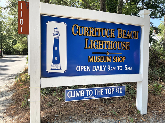 "Climb to the top $10" &ndash; the best deal in North Carolina for panoramic views and thigh muscles that will remind you of the experience for days.