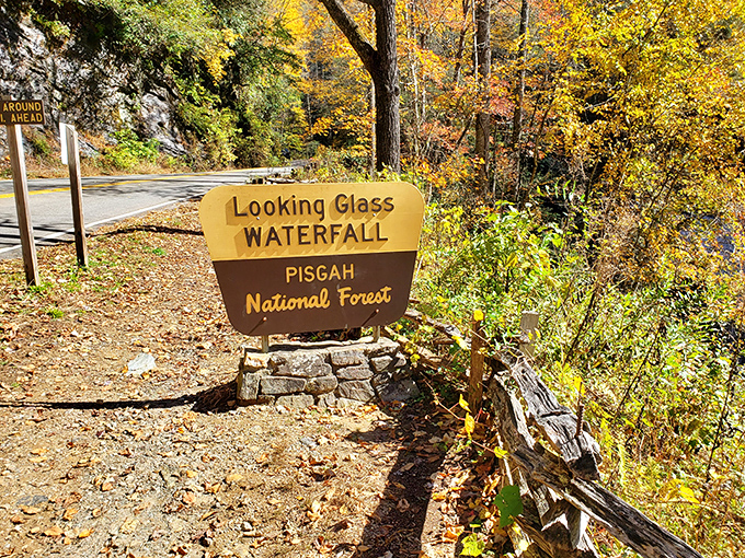 You are here has never looked so promising. This unassuming sign marks the entrance to one of North Carolina's most accessible natural wonders in Pisgah National Forest. 