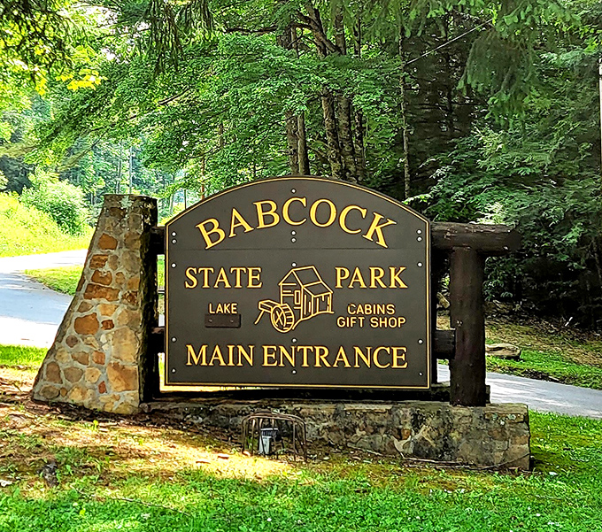 The gateway to adventure stands sentinel at the forest's edge, promising memories that won't require a filter.