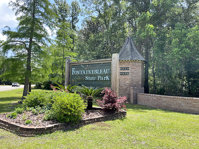 Not all grand entrances require a red carpet. This charming brick gateway promises adventures that Instagram filters can't improve upon.