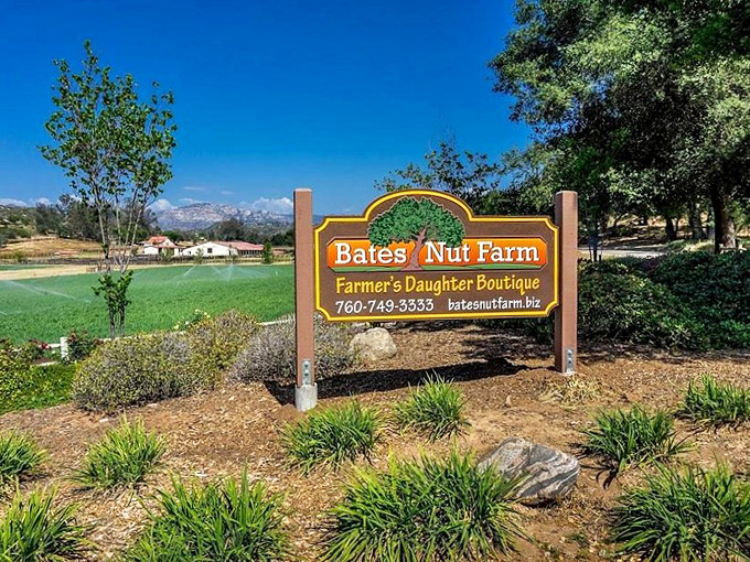 Standing proudly against the California sky, the Bates Nut Farm sign promises rural delights just beyond those rolling hills.