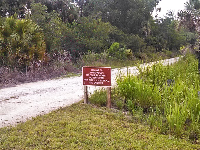 The unassuming entrance sign stands as a humble gatekeeper to one of Florida's most spectacular wild treasures.