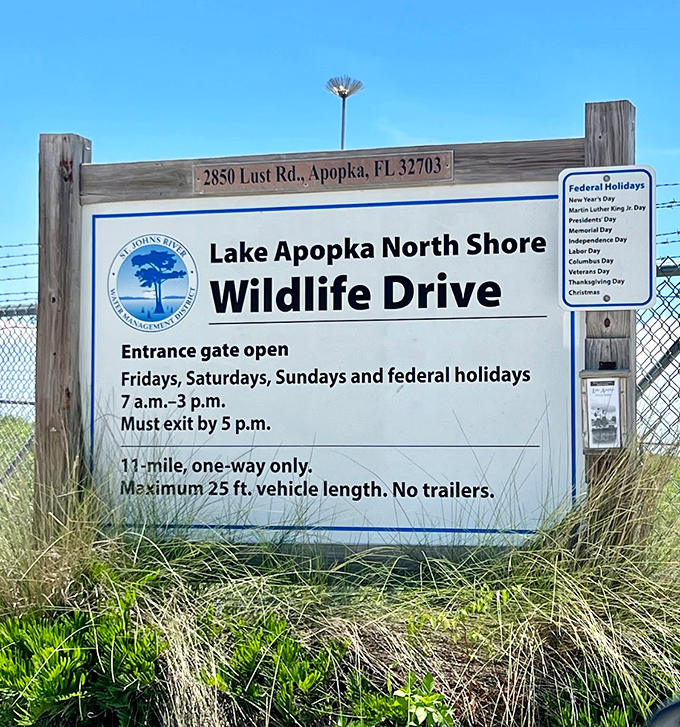 The entrance sign: your passport to wilderness. No FastPass needed for this attraction&mdash;just patience and a sense of wonder.
