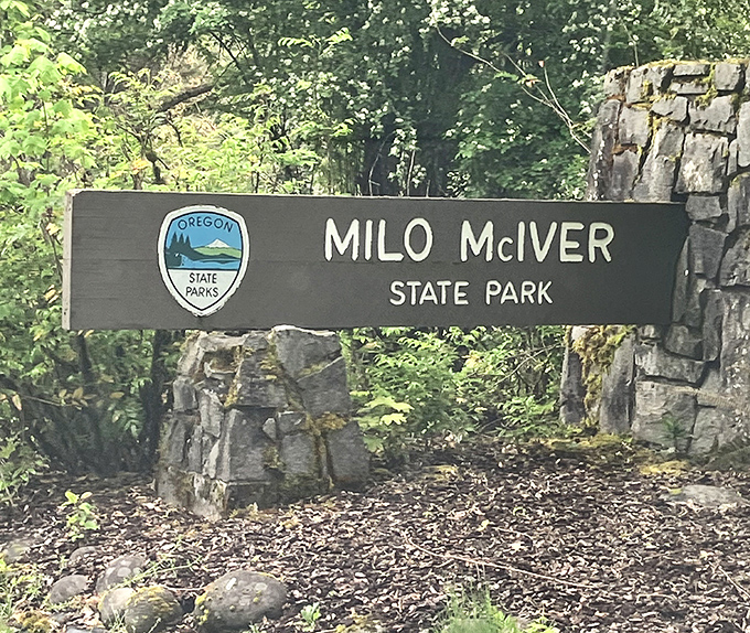 Not all who wander are lost, but this sign ensures you'll know exactly where you've found paradise. Oregon's green welcome mat.