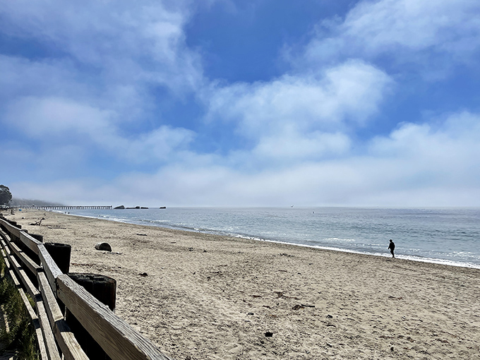 Miles of sandy serenity await at Seacliff, where the rhythmic waves provide the perfect soundtrack for contemplative beach walks.
