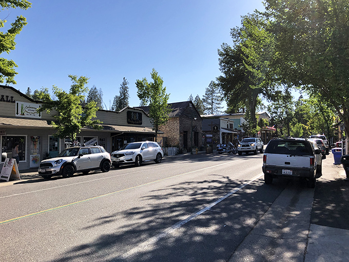 Main Street Murphys looks like Hollywood's idea of the perfect Gold Rush town, except this one's actually real.