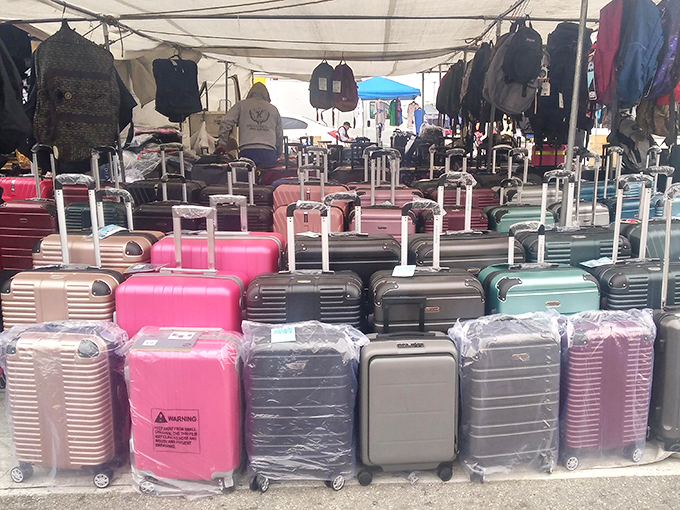 A rainbow of hardshell luggage awaits its next adventure. Who knew preparing for your next getaway could be so colorful and affordable?