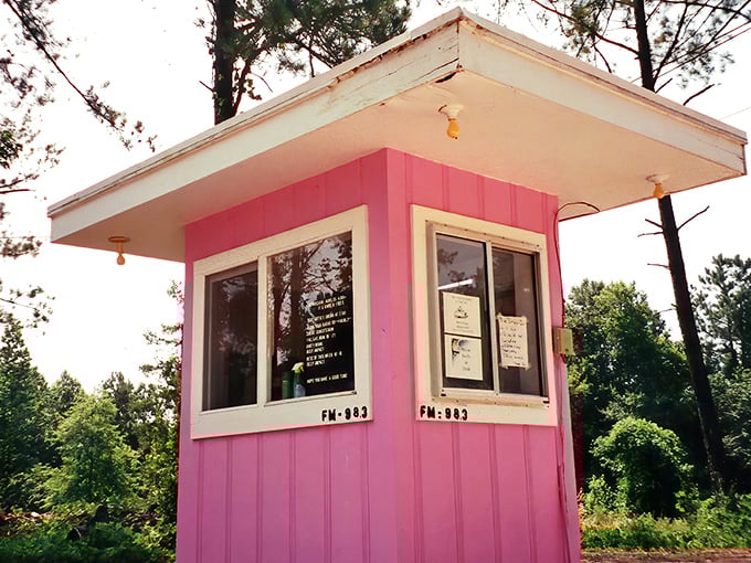 That iconic pink ticket booth isn't just functional&mdash;it's the gateway to your evening's cinematic adventure.