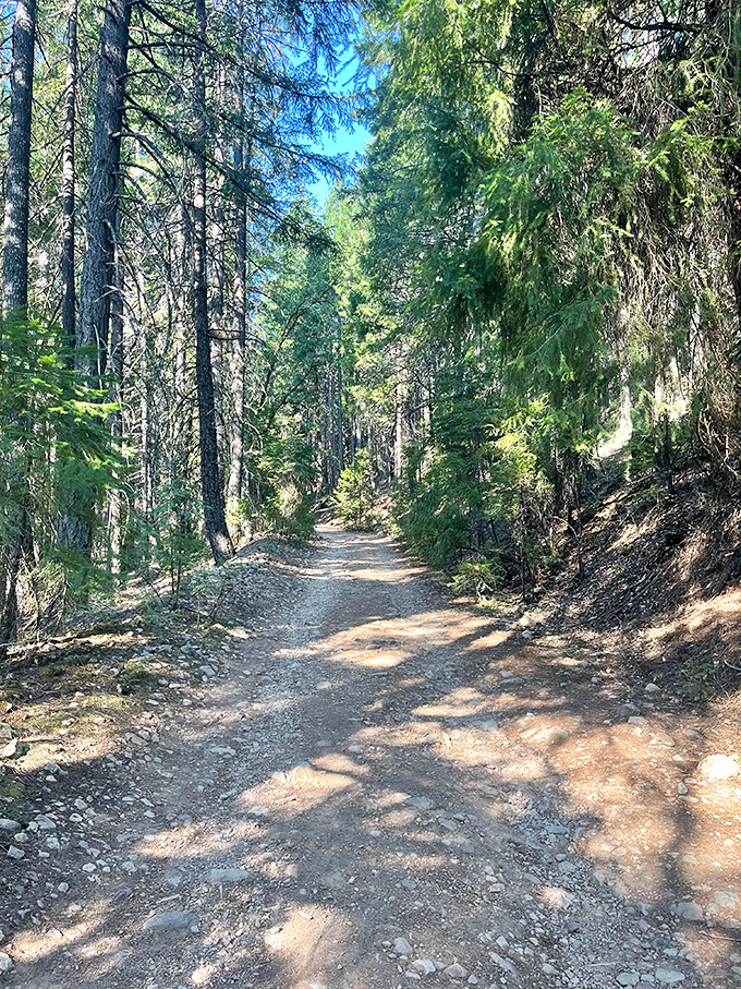 The journey itself is half the magic. This sun-dappled forest trail to Faery Falls feels like walking through the opening scene of a fantasy film.