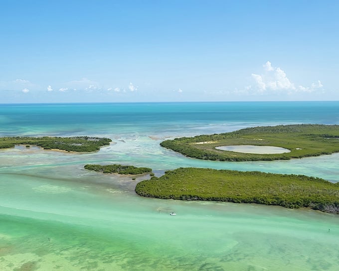Mother Nature showing off her color palette. These tiny emerald islands scattered across turquoise waters look like they were painted by a particularly ambitious watercolorist.