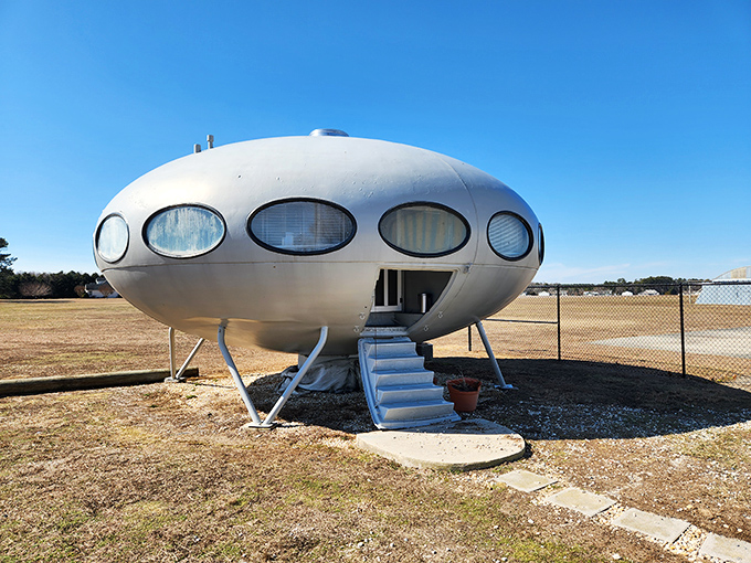 Standing guard like a sentinel from the Space Age, this pristine white orb seems ready for takeoff at a moment's notice.