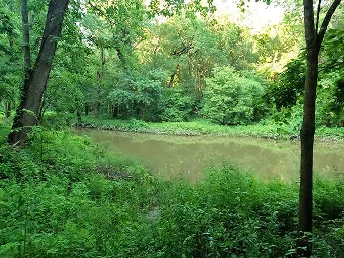 Mother Nature's infinity pool &ndash; this tranquil pond surrounded by lush greenery offers a meditation spot no spa could rival.