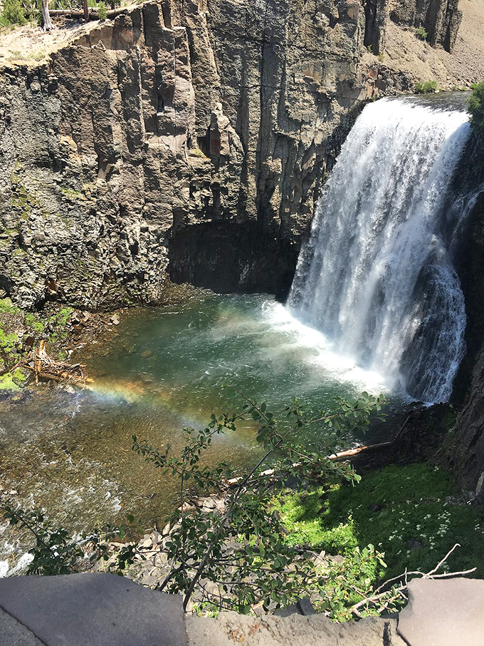 The misty plunge creates its own microclimate, where rainbows appear like magic tricks performed on an hourly schedule.