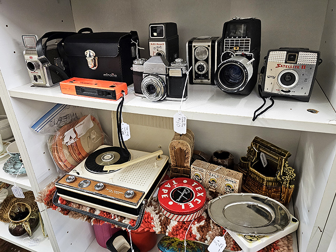 Not just old cameras, but time machines that once captured someone's wedding day or baby's first steps.