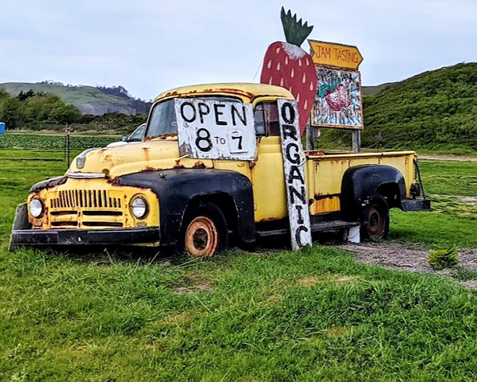 This vintage yellow truck isn't just Instagram bait&mdash;it's a time machine to when food came with stories, not barcodes.