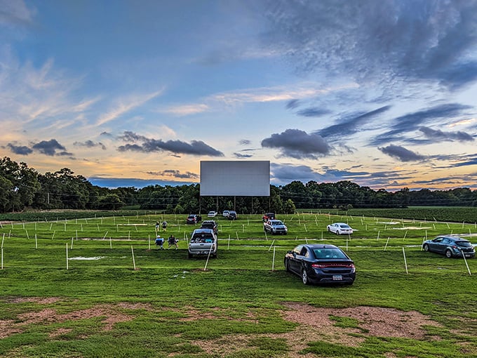 Dusk at the 411 Twin Drive-In. Cars gather like old friends sharing stories under an endless sky.