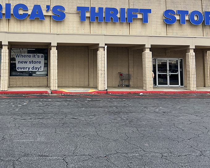 America's Thrift Store proves that one person's donation becomes another's perfect weekend discovery.