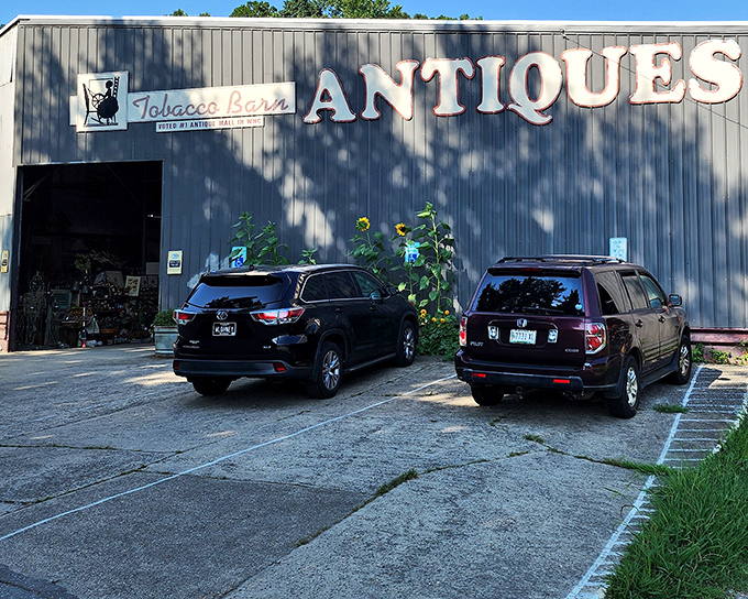 Bold letters announce this Asheville landmark where an authentic tobacco barn now shelters generations of collectible memories.