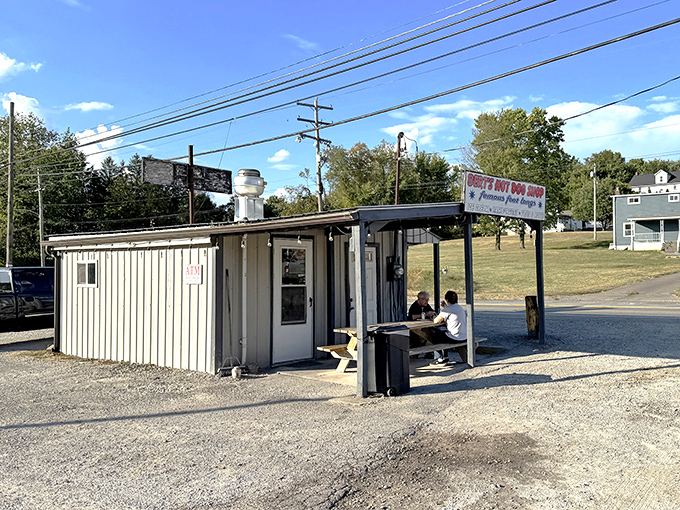 Roadside stands like this prove that great food doesn't need fancy architecture or marketing.
