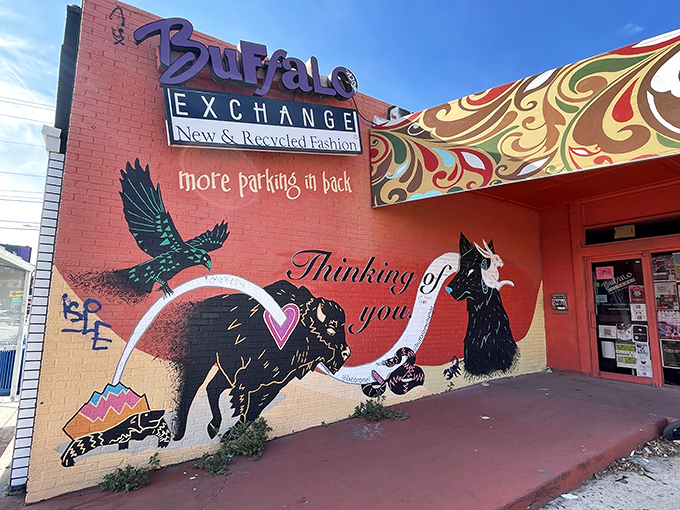 Now that's some street art with personality &ndash; a buffalo and tuxedo cat sharing a moment that's pure Austin quirk.