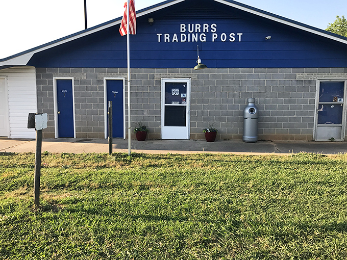 Sometimes the best treasures hide behind the most unassuming facades - this blue building holds decades of surprises.