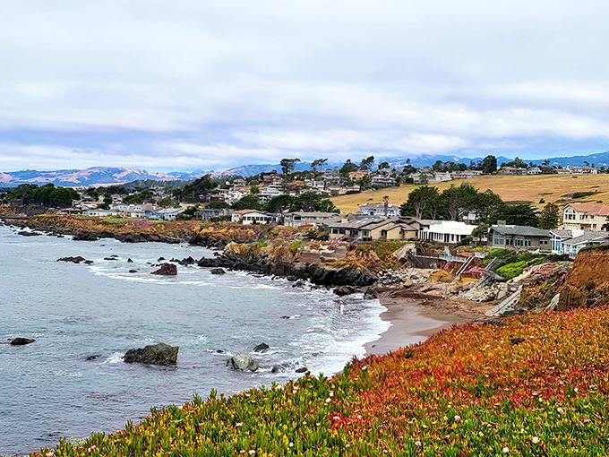 Cambria's pine-kissed coastline creates that rare magic where mountain air meets ocean spray in perfect harmony.